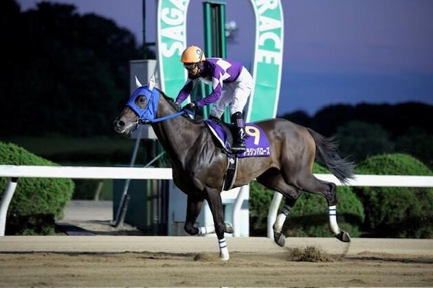 JBC3着アラジンバローズが再び距離延長！その理由は？好走データは？／佐賀・鳥栖大賞データ分析 - スポーツナビ