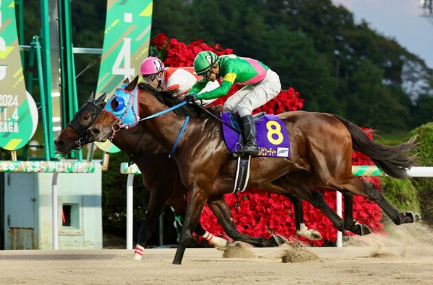 さがけいばニュース【11月9・10日】JBCが終わってもまだまだ佐賀競馬は熱い！ - スポーツナビ