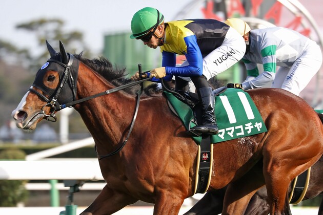 【重賞見どころ・JBCスプリント】芝のGI馬も参戦！ 大混戦の電撃1000mを制するのは？ - スポーツナビ