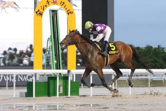 【名古屋競馬】農林水産大臣賞典 第25回 名古屋グランプリ(JpnⅡ)競走は『サンライズジパング号(JRA)』が優勝[坂井瑠星騎手(JRA)] (2025.5.6) - スポーツナビ